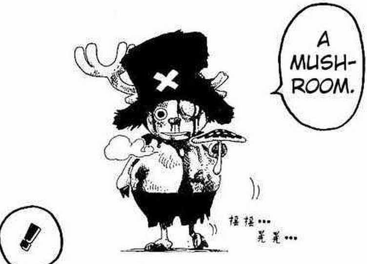 Cenas mais tristes de One Piece segundo os japoneses - NAU